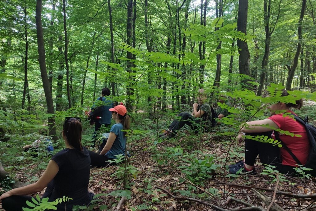 U Radoboju za sutra organizirana "šumska kupka" - Radio Stubica